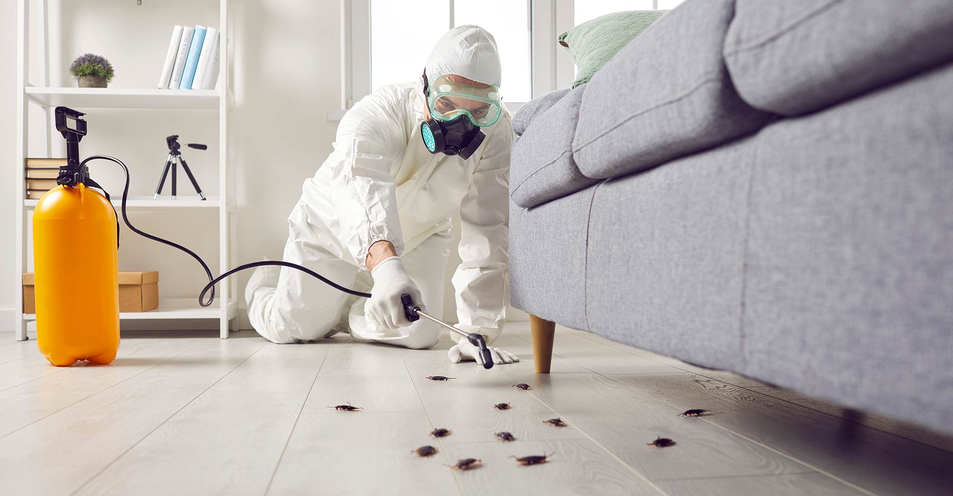 Produit anti rat professionnel